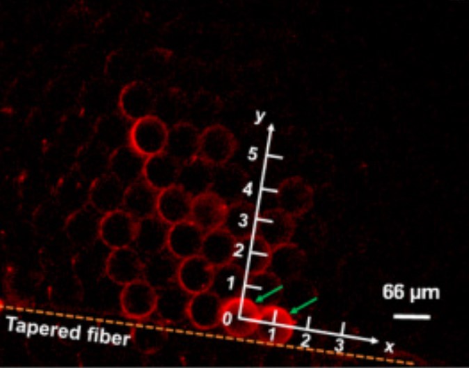 Publications – Prof. Tal Carmon